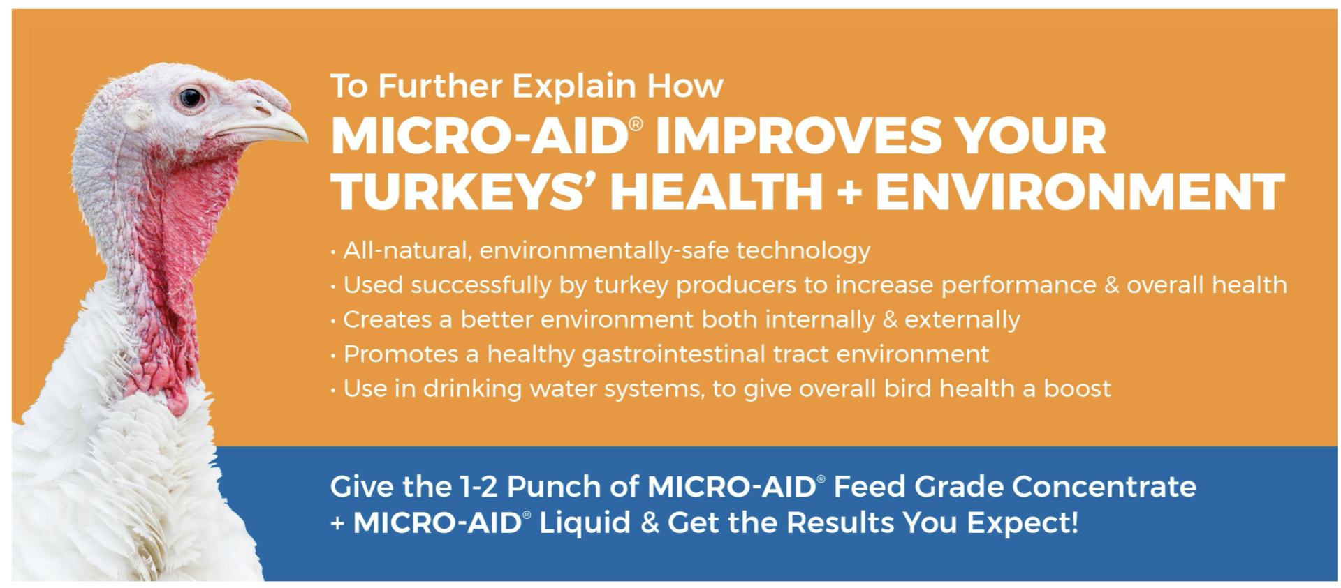 Use of Micro-Aid® in Turkeys | DPI Global