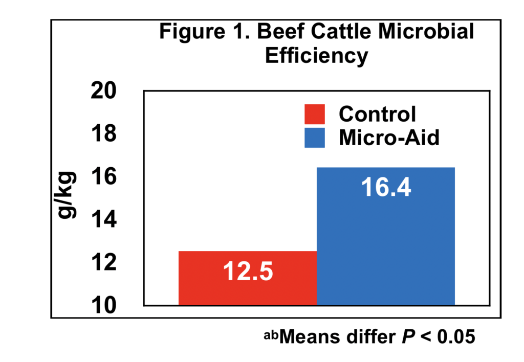 Greater Risk of Springtime Bloat in Cattle…An Opportunity for Micro-Aid ...